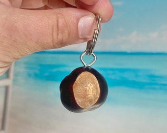 Lucky Buckeye Keychain Ohio State Buckeyes - Etsy