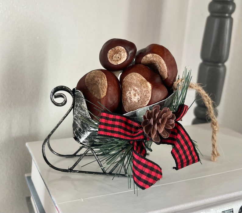 Buckeyes Sleigh Ornament: Ohio State Christmas Decor - Etsy