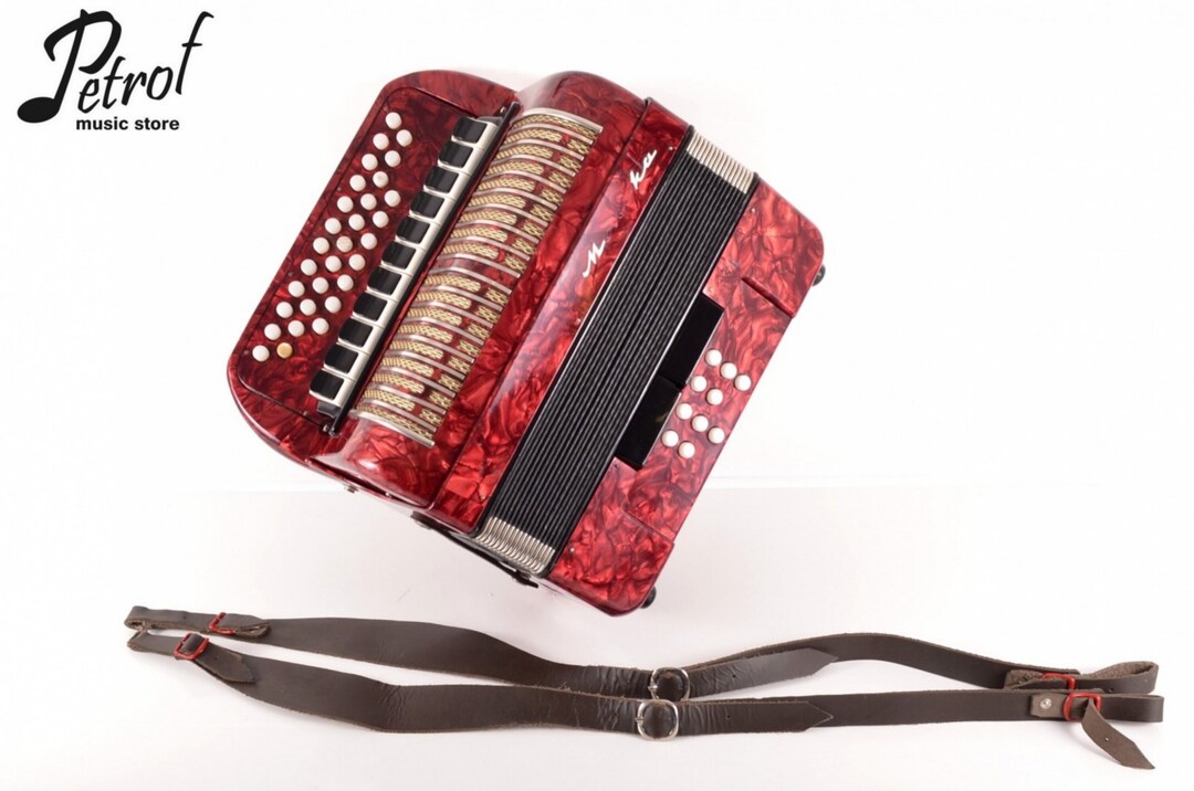 Very Rare TOP German Made Button Diatonic C Accordion Bayan - Etsy