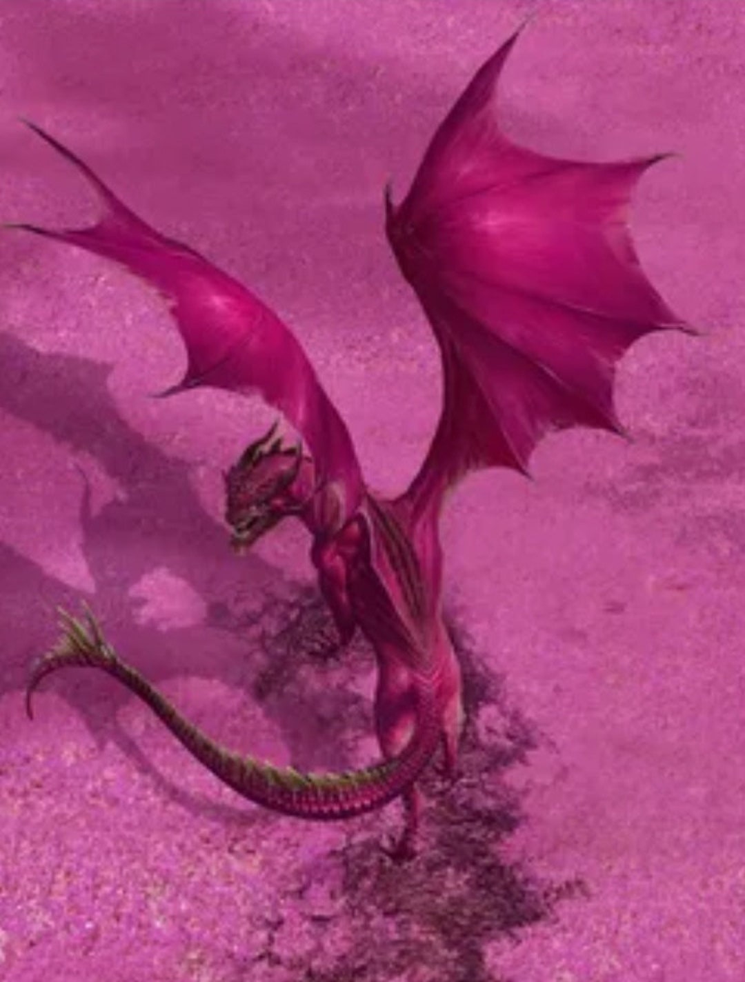 Young Pink Dragon Entity Lifelong Guide Who Can Open Inner Eye and Has ...