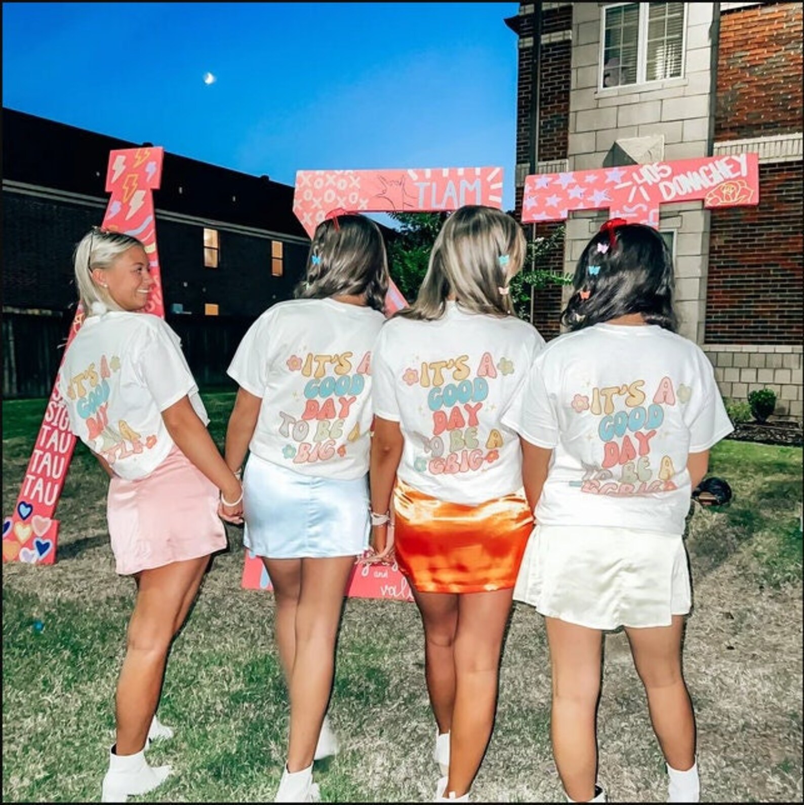 Big Little Shirts Sorority Shirts Big Little Shirts Sorority - Etsy