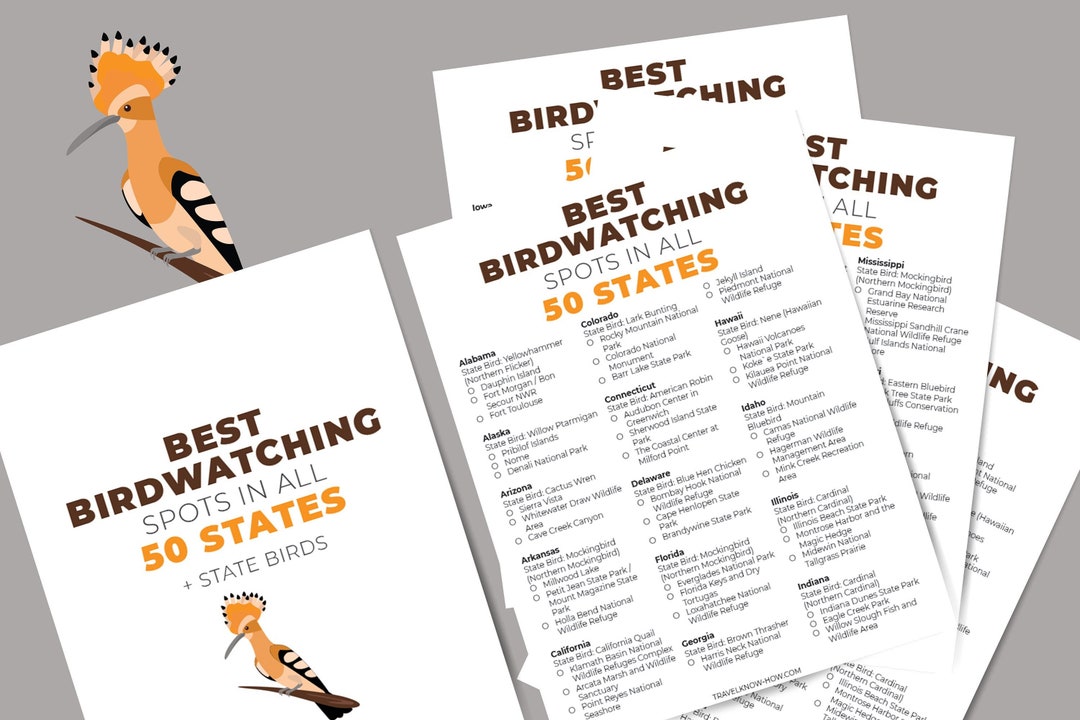 Birdwatching in All 50 States Checklist, Birdwatching Bucket List, Bird ...