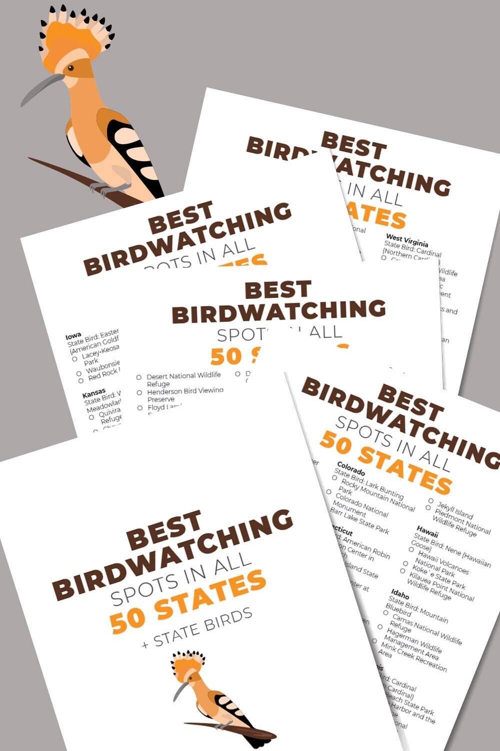 Birdwatching in All 50 States Checklist, Birdwatching Bucket List, Bird ...