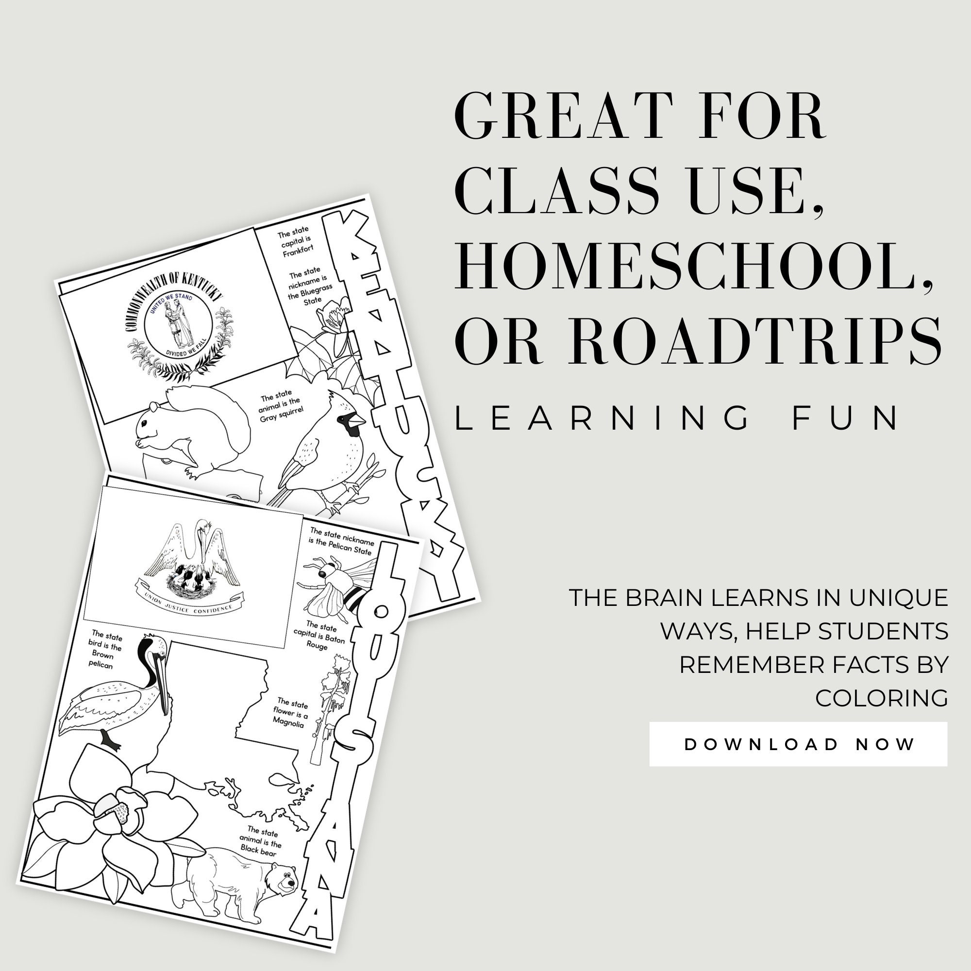 50 States Coloring Book, United States Coloring Pages, USA Coloring ...