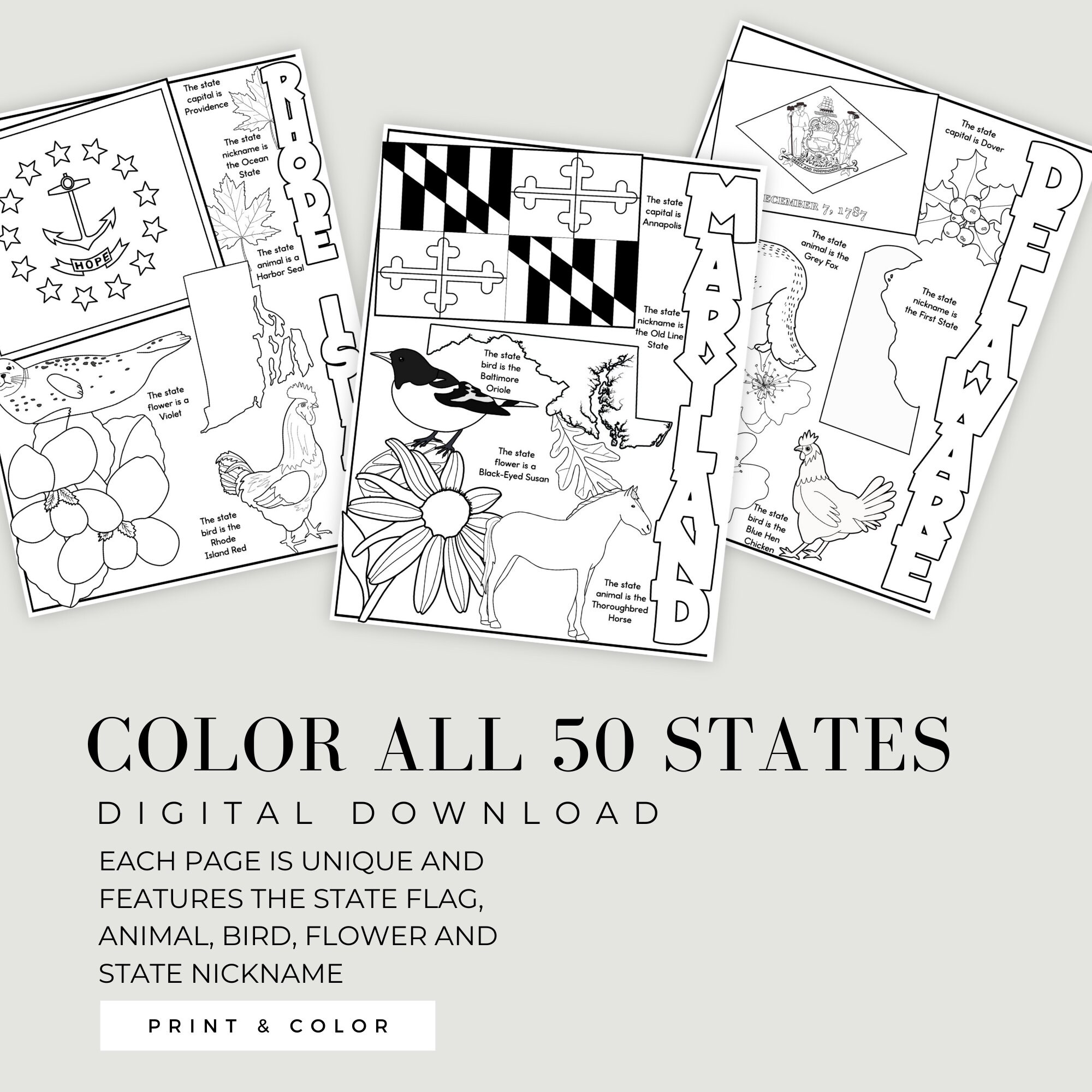 50 States Coloring Book, United States Coloring Pages, USA Coloring ...