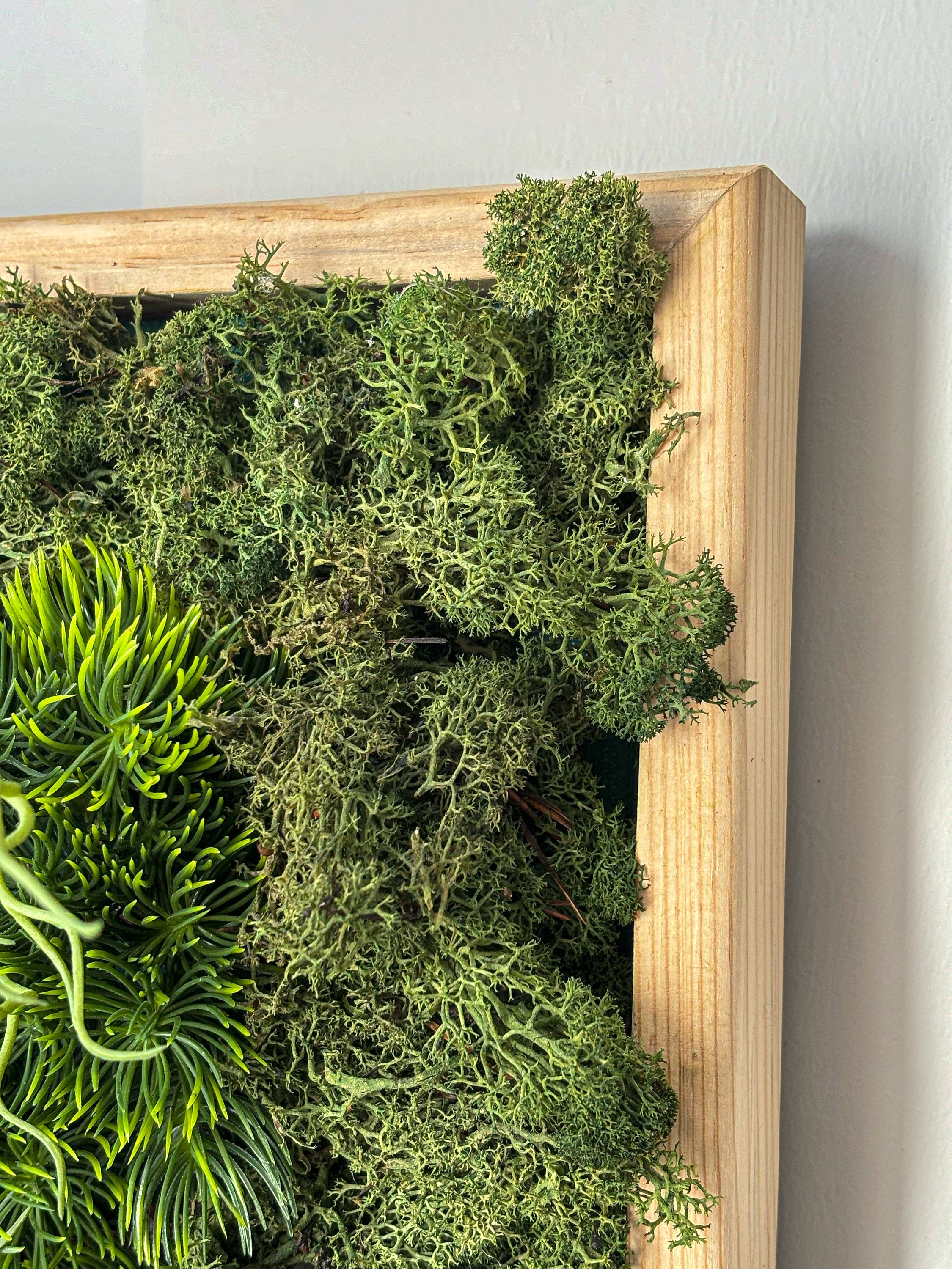 Wood Framed Moss Art, Moss Art, Moss Wall Art, Moss Decor, Large Wooden ...