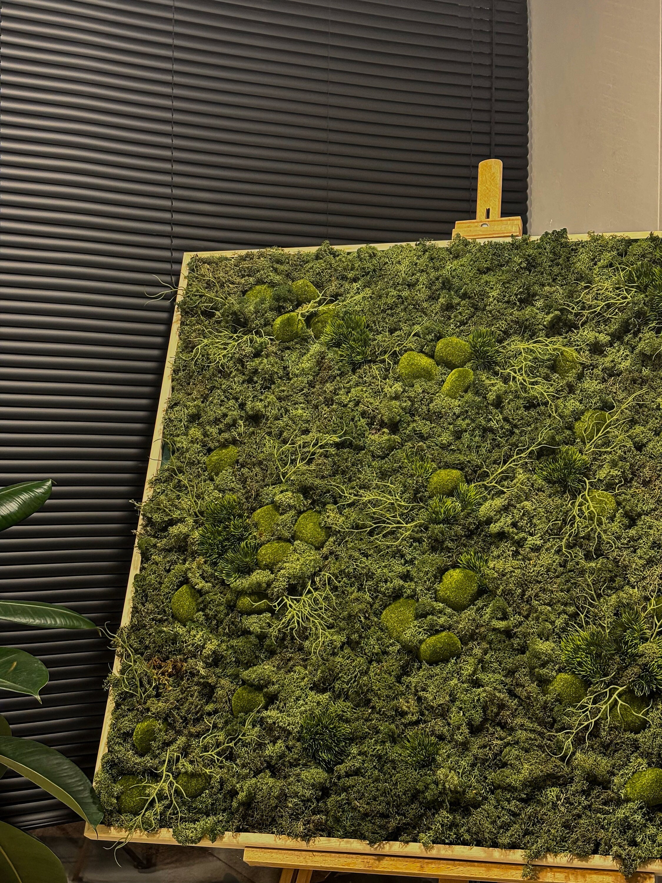 Wood Framed Moss Art, Moss Art, Moss Wall Art, Moss Decor, Large Wooden ...