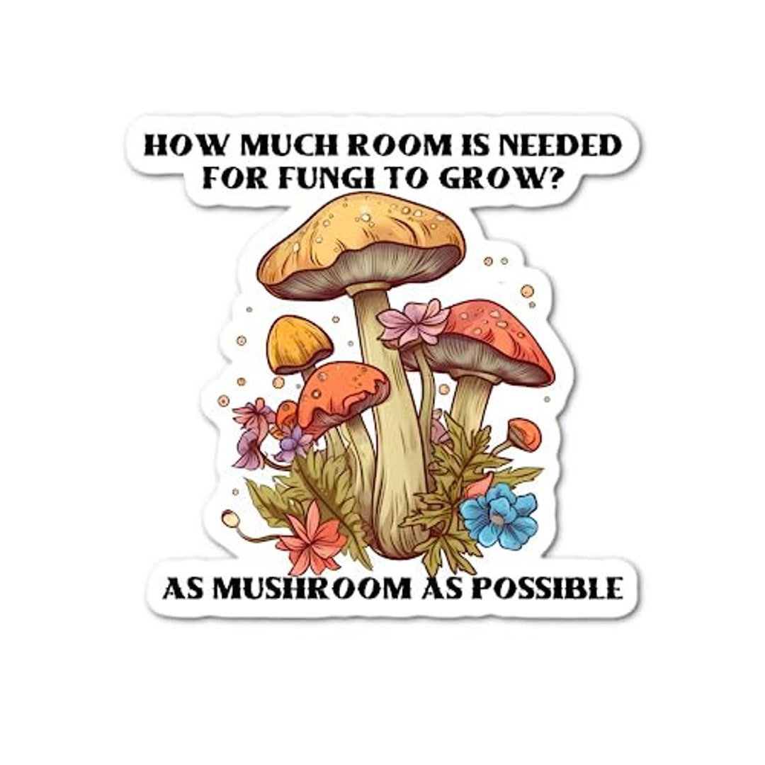How Much Room Does It Take for Fungi to Grow as Mushroom as Possible ...