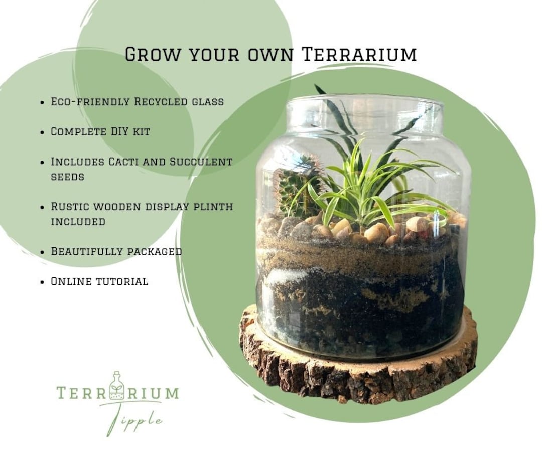 Complete DIY Terrarium Starter Kit With Eco-friendly Recycled Glass ...