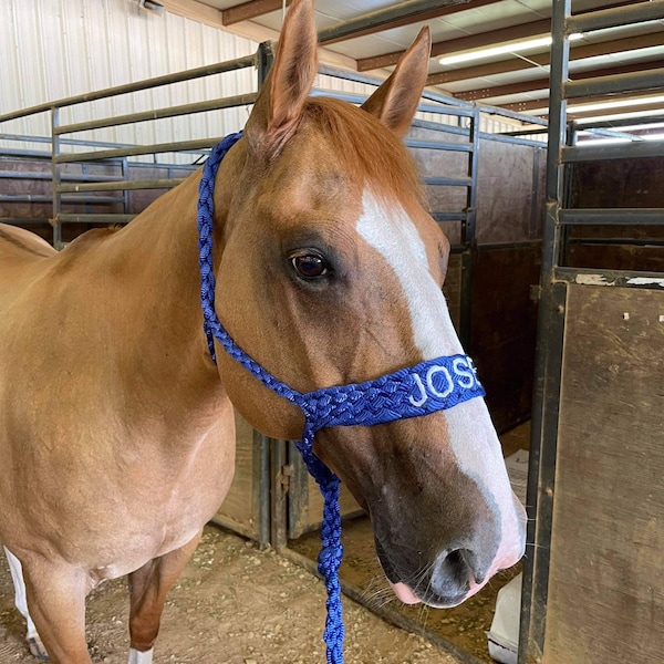 Mule Tape Halter - Etsy