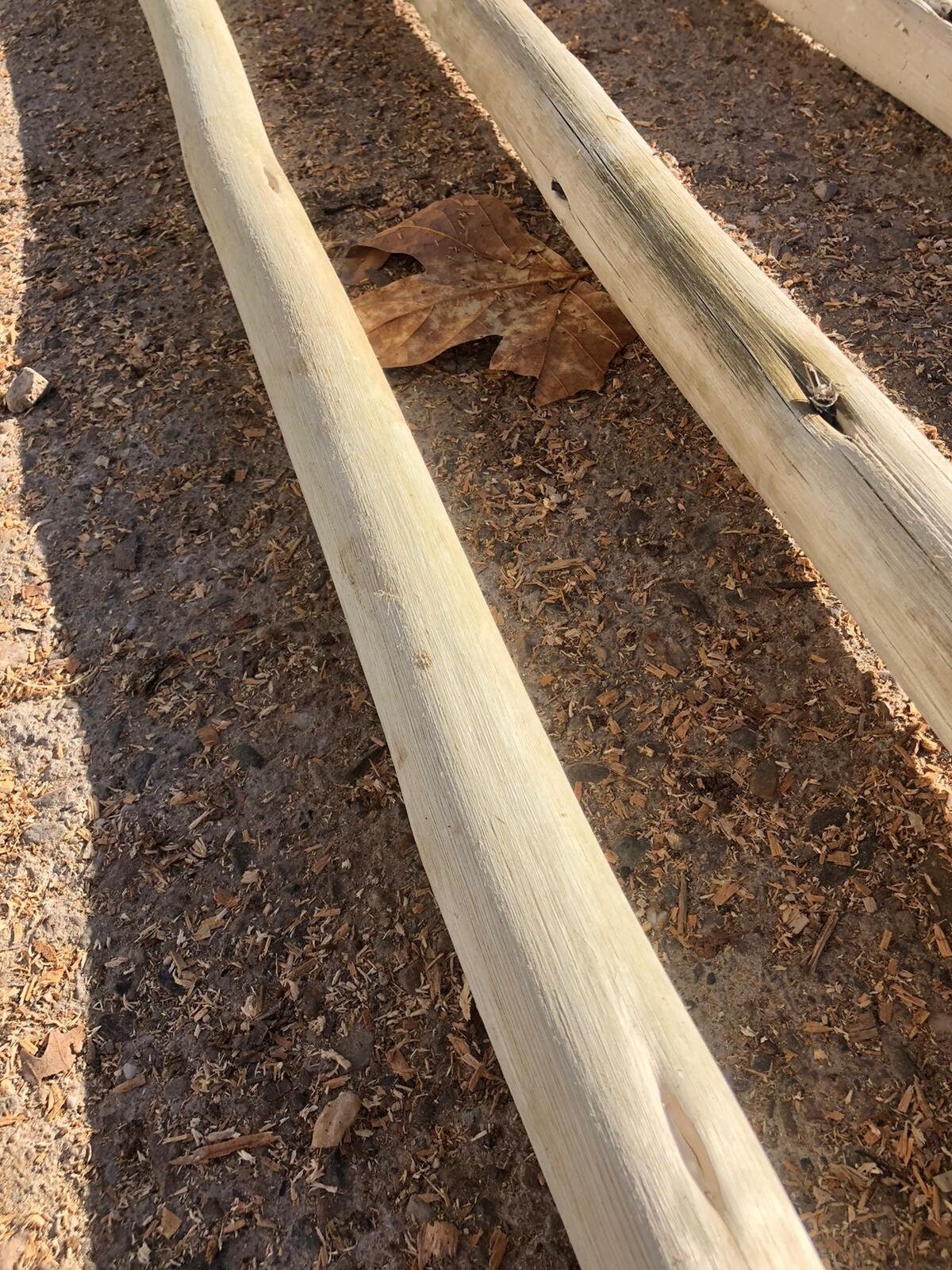 Set of 3 Branches of Debarked Wood With a Length of 2m30 to - Etsy