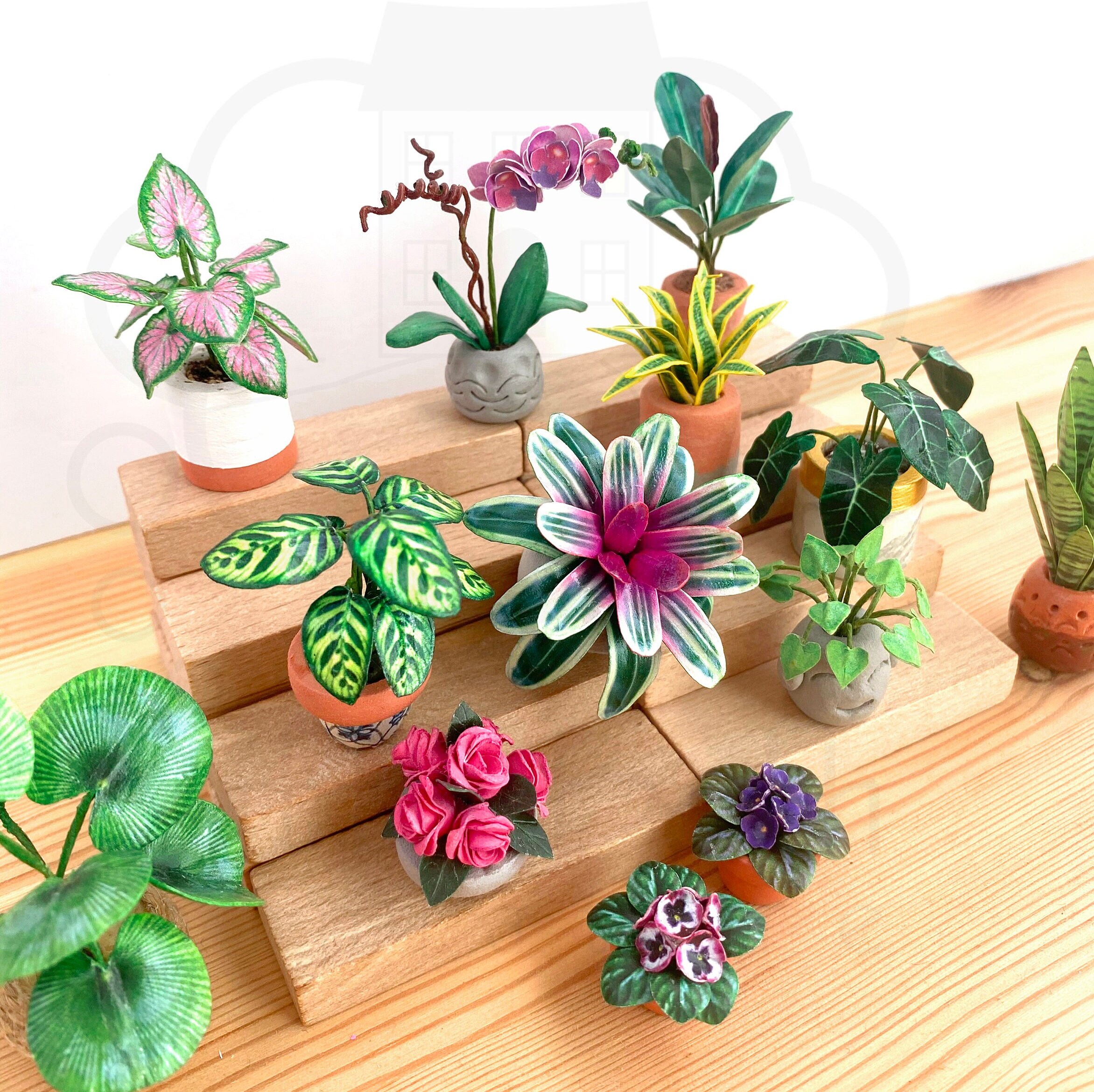 Miniature Plants & Flowers Set Printable DIY Dollhouse Paper Craft , 1: ...