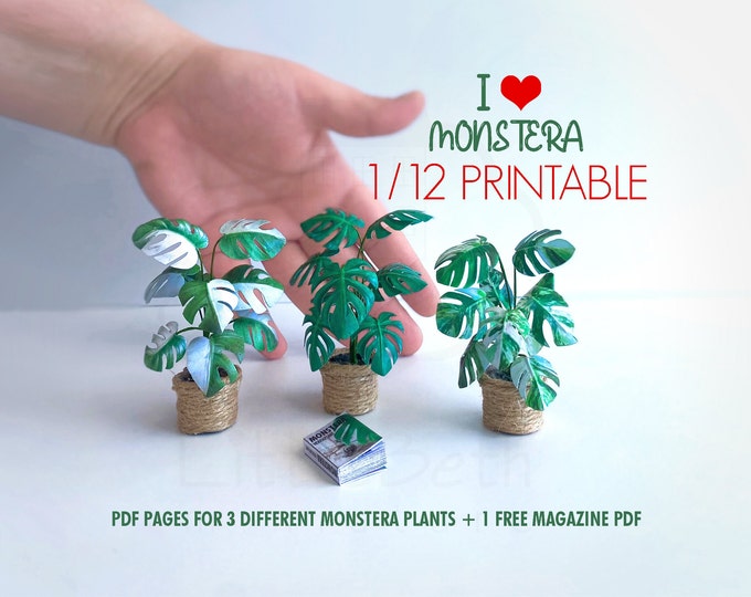 3D Mini Paper Plant Kit Easy Pre-cut Paper Craft Activity for Beginners ...
