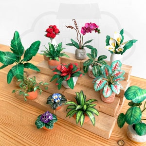 Dollhouse Miniatures Houseplants Decor. 1:12 Scale. 13 Different, Paper ...