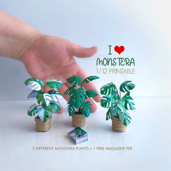 Miniature Plants - Etsy