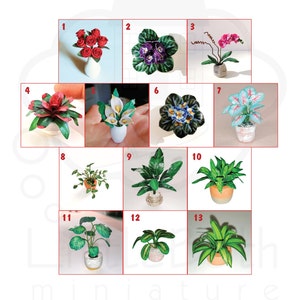 Dollhouse Miniatures Houseplants Decor. 1:12 Scale. 13 Different, Paper ...