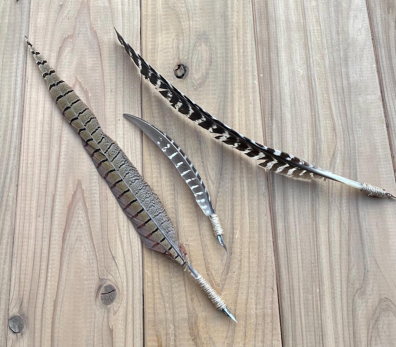Wild Feather Quill - Etsy