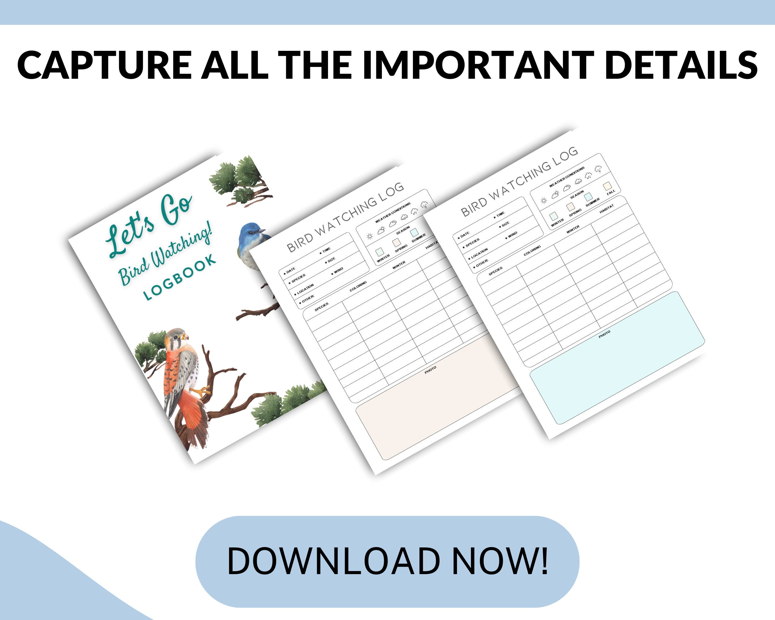 Let's Go Bird Watching! Printable Bird Watching Logbook - Track ...