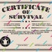 FNAF Certificate - Etsy