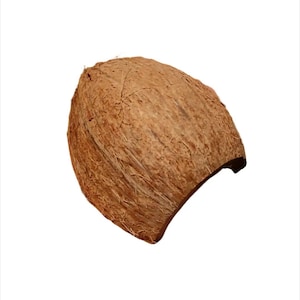 Small Coconut Half - Etsy