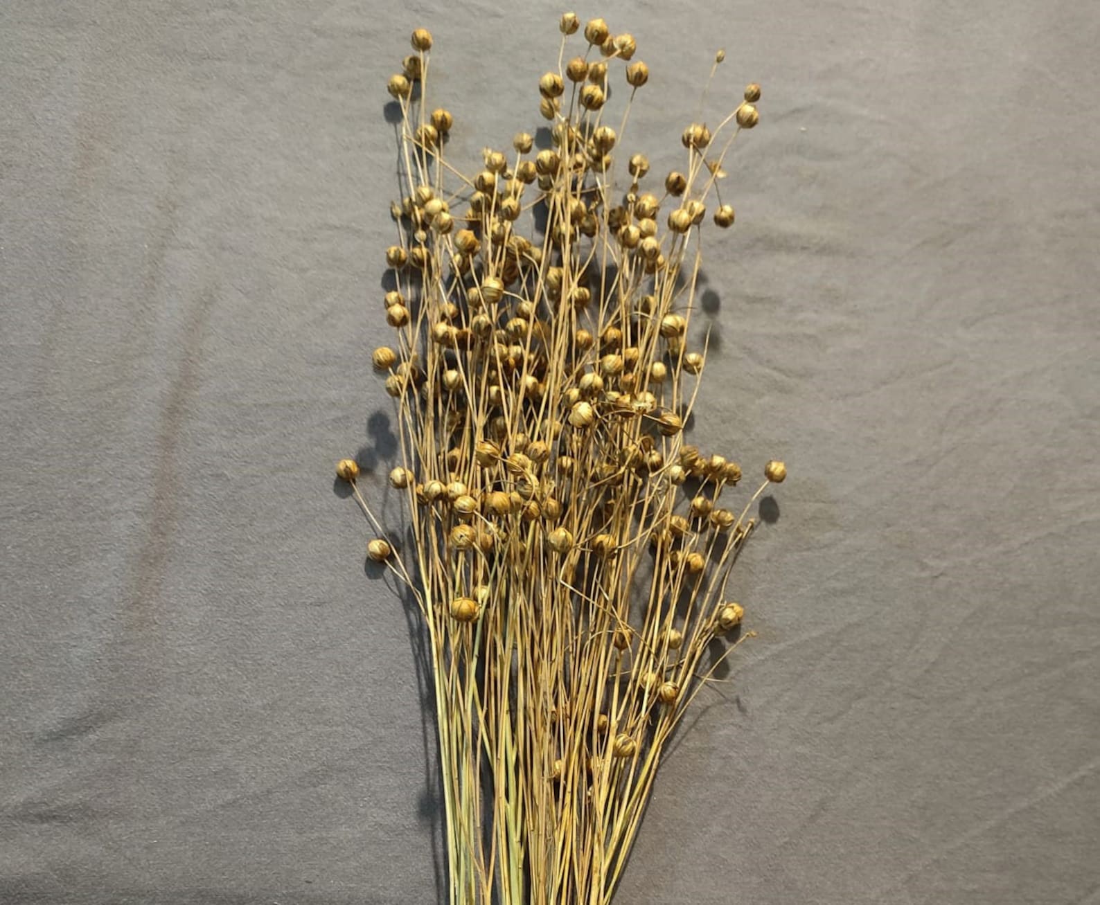 Flax Spray Dried Flax Stems Hamster Flax Bird Flax Hamster - Etsy UK