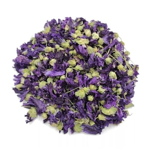 Blue Mallow Flowers - Etsy