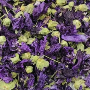 Blue Mallow Flowers - Etsy