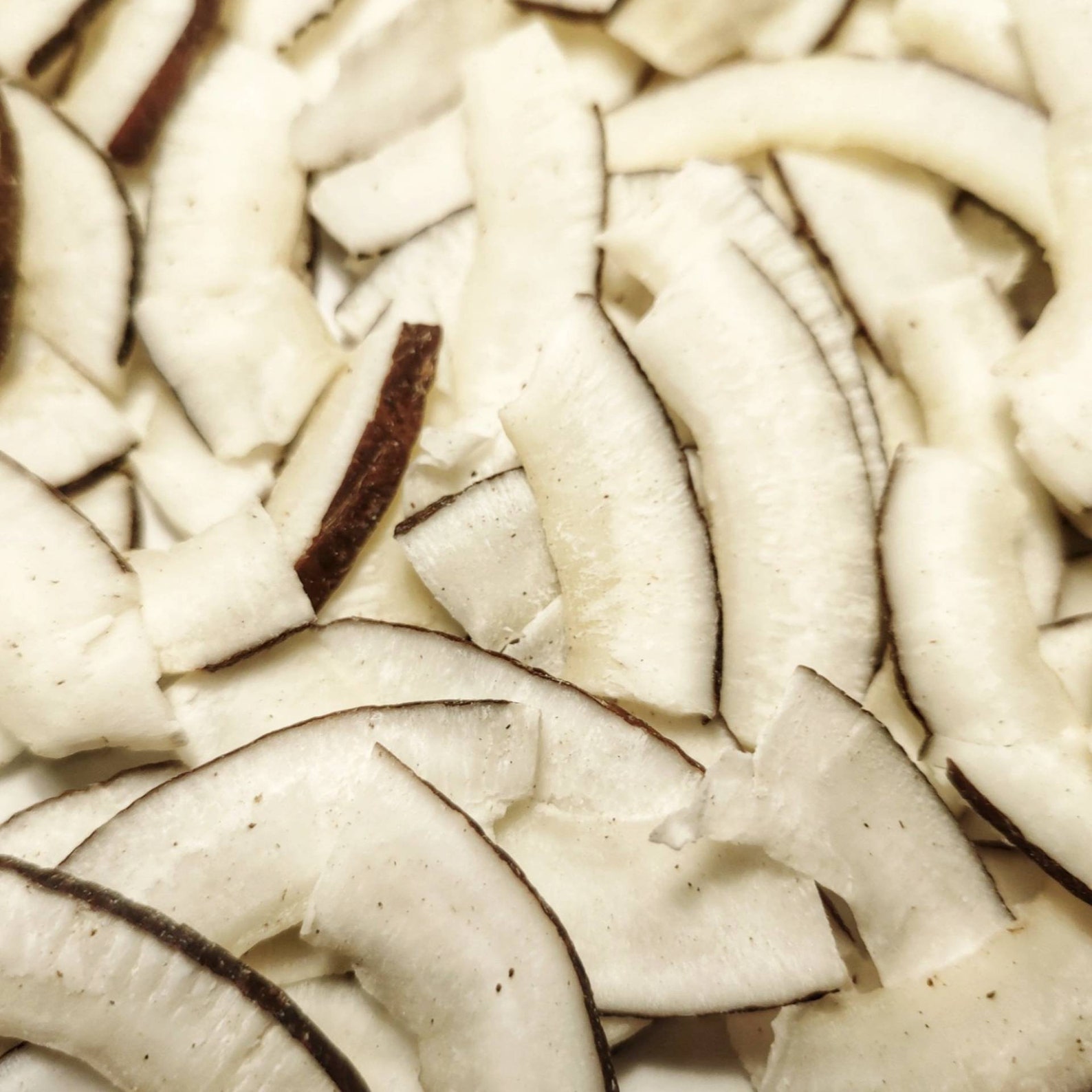 Dried Coconut - Etsy