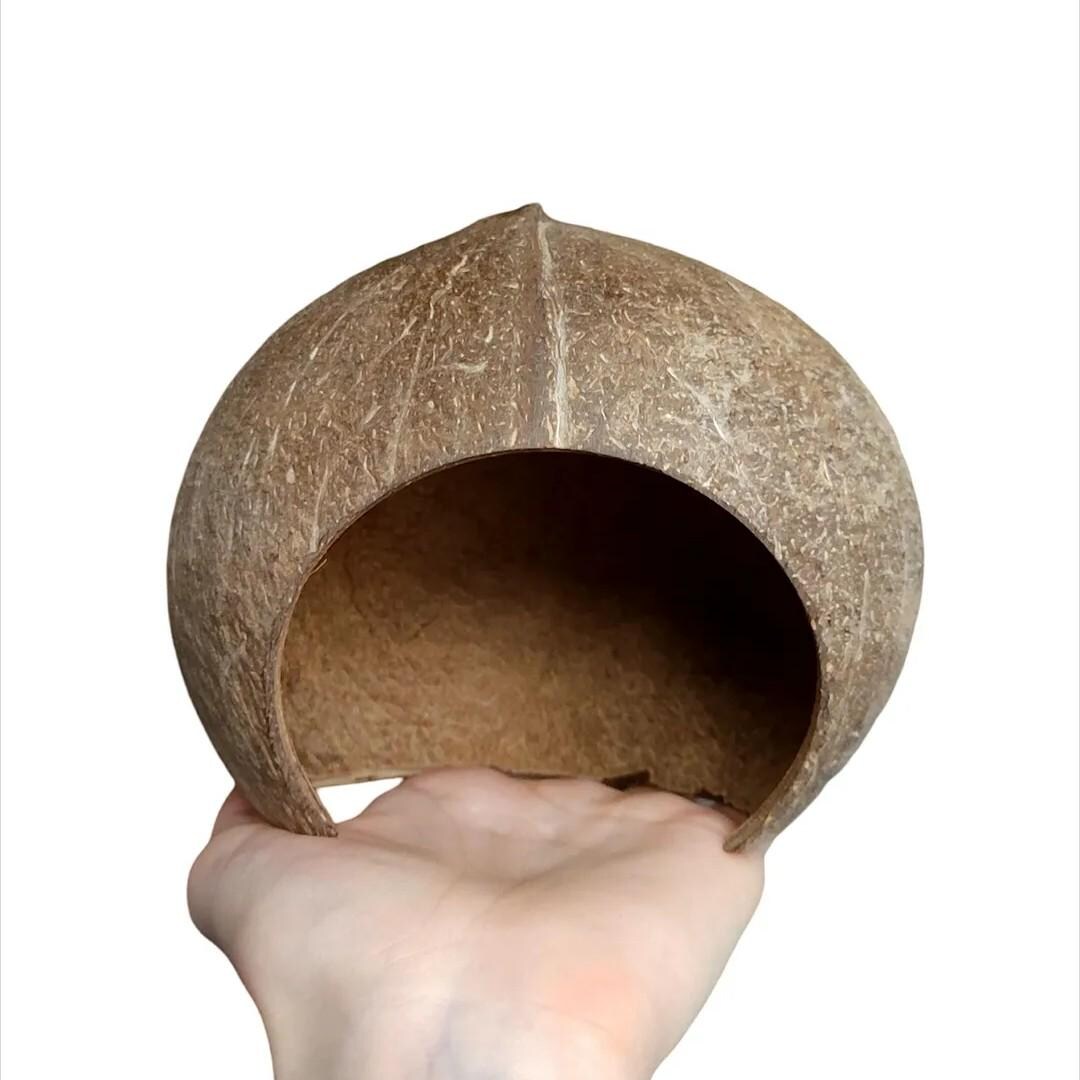 Large Coconut Hide - Etsy