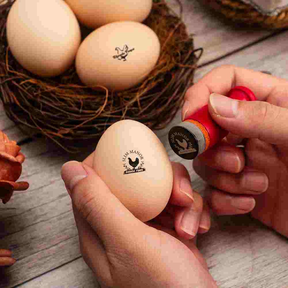 Custom Egg Laid Date Stamp for Egg Cartons, Eggs Carton Stamp With ...