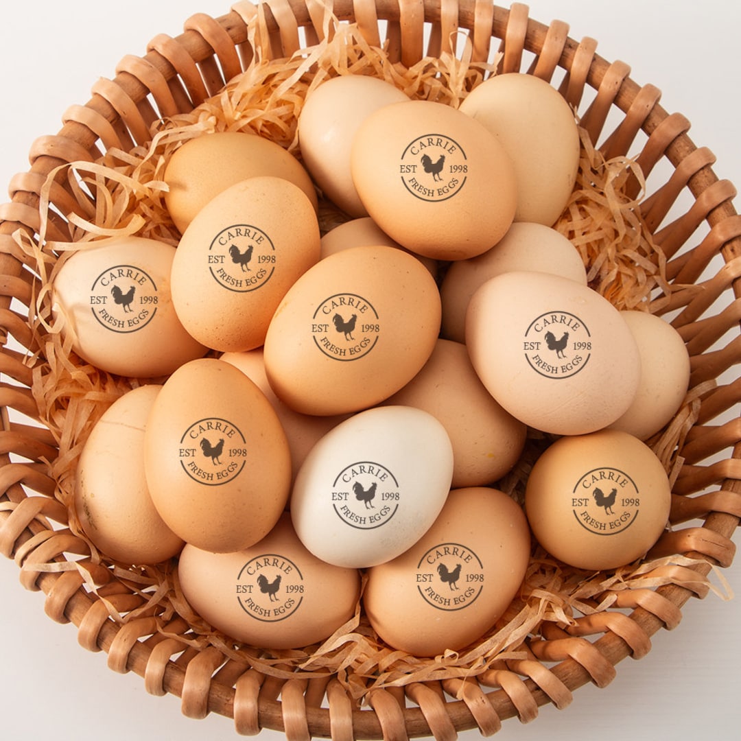 Custom Egg Laid Date Stamp for Egg Cartons, Eggs Carton Stamp With ...