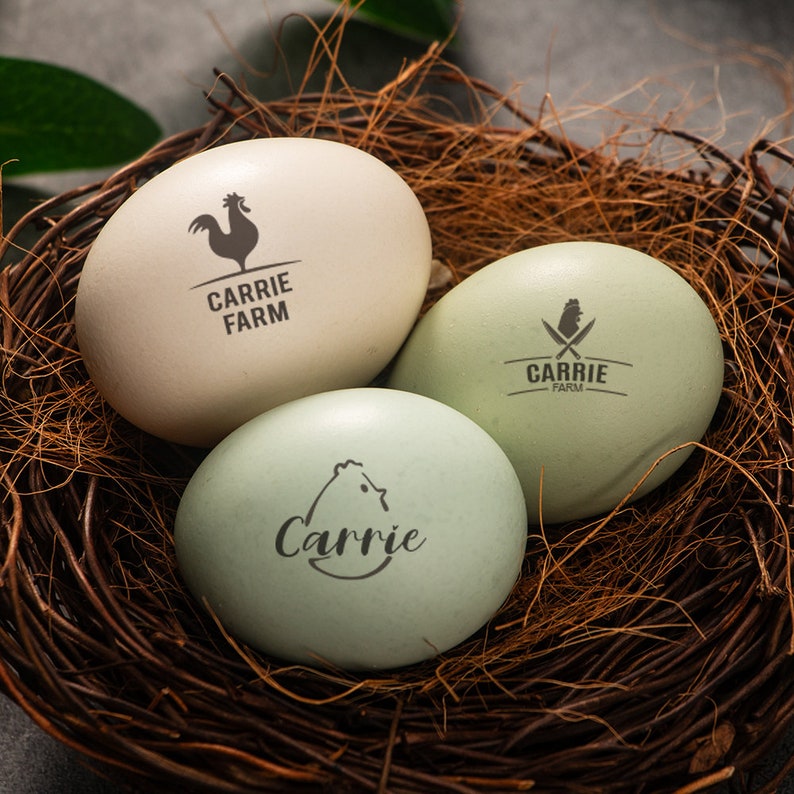 Custom Egg Laid Date Stamp for Egg Cartons, Eggs Carton Stamp With ...