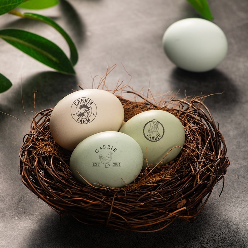 Custom Egg Laid Date Stamp for Egg Cartons, Eggs Carton Stamp With ...