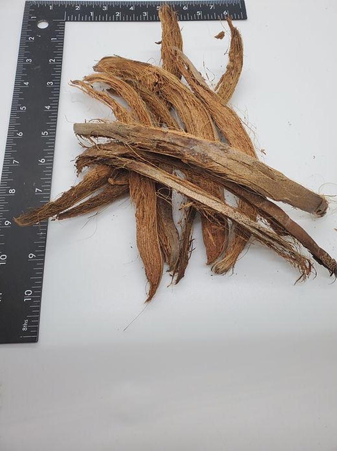 Coco Curls, Perfect for Shrimp Betta Aquarium, Botanicals -beneficial ...