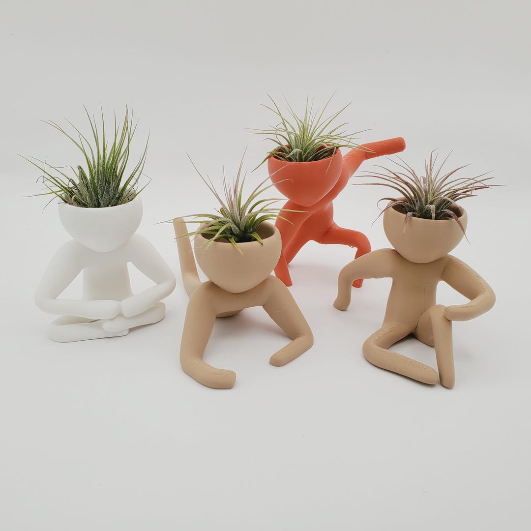 People Planters With Air Plant - LIVE PLANT - Great Gift - Plant Lovers ...