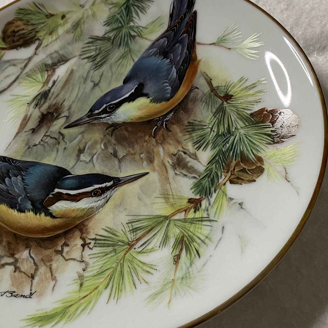 Vintage ALT Fine Bone China Plates. " Korsikanischer Kleiber " - Etsy