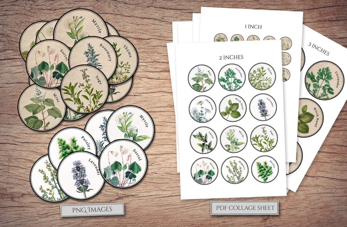 Printable Herb Labels (PNG & PDF Sheets), Green Witch Ephemera ...