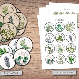 Printable Herb Labels (PNG & PDF Sheets), Green Witch Ephemera ...