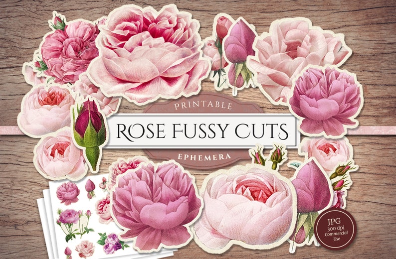 Printable Pink Floral Fussy Cuts (JPG Collage Sheets), Rose, Peony ...