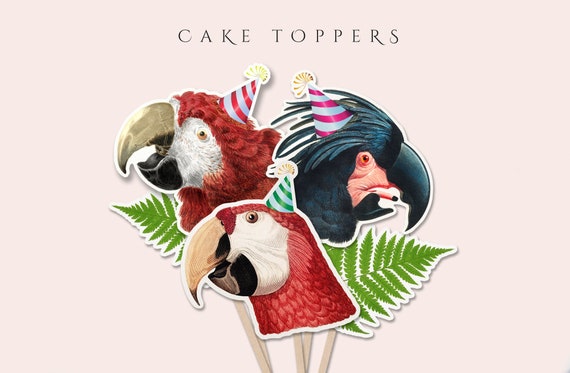 Printable Parrot Cake Topper in JPG Animals With Hat Cake - Etsy