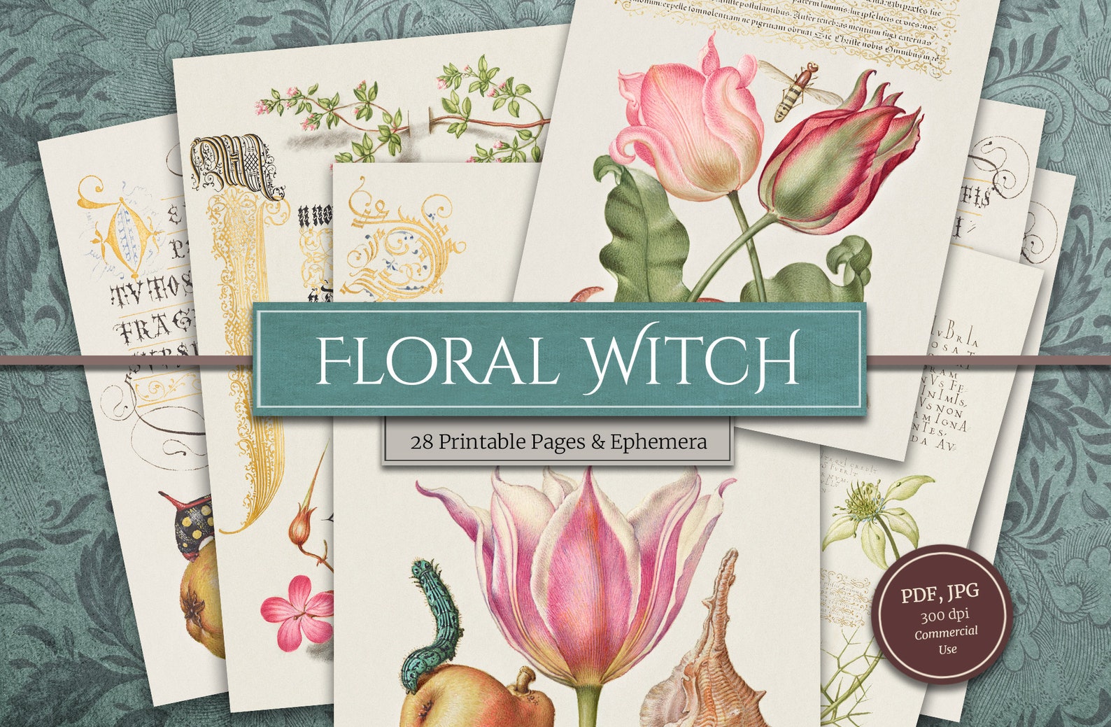 All the Spellbook Pages 160 Illustrated Pages in PDF JPG - Etsy