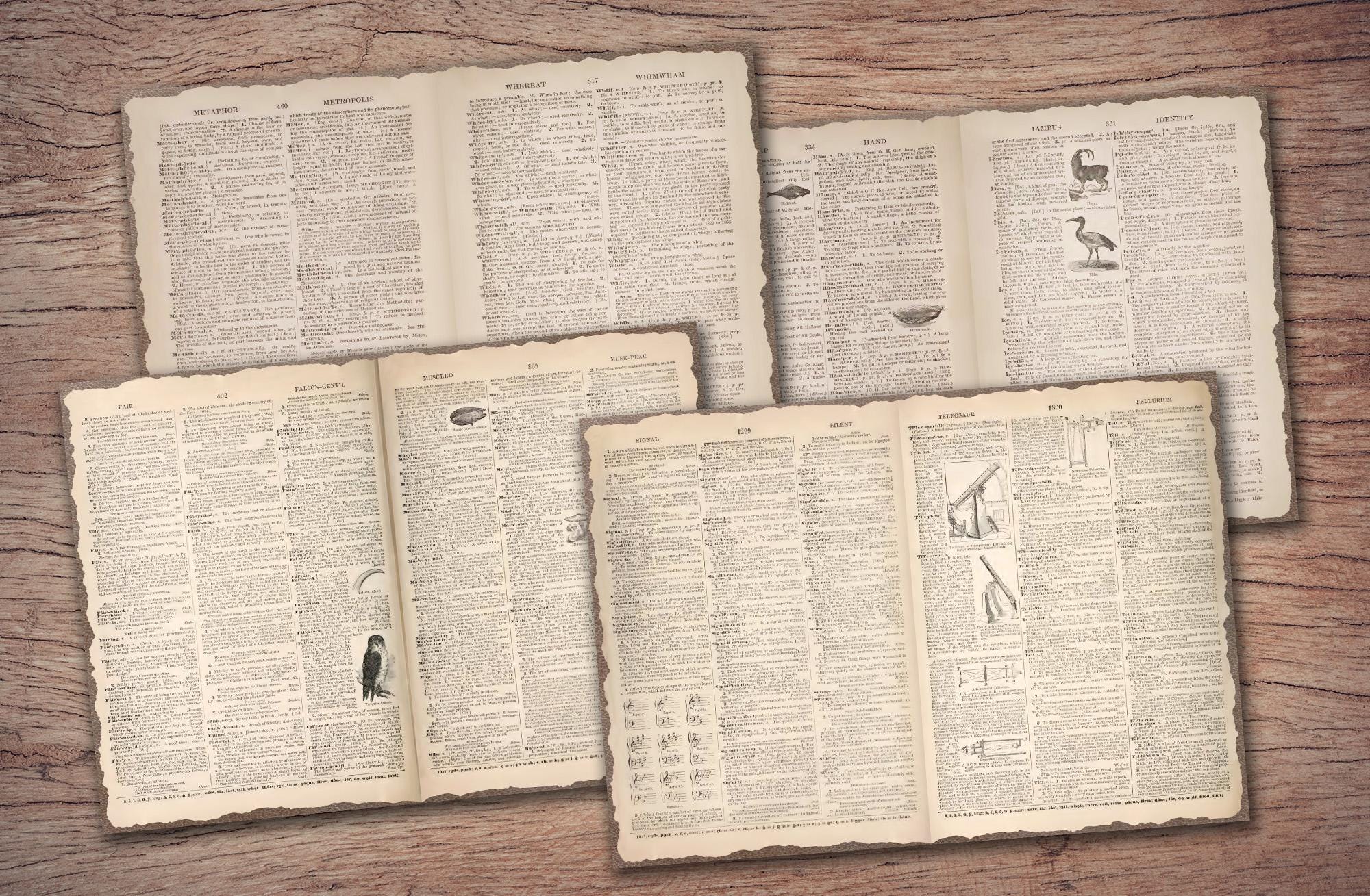 Old Dictionary Pages (printable JPG), Vintage Aged Digital Paper, Word ...