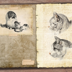 Cats Junk Journal Kit (printable JPG Pages With Ephemera, Cover ...
