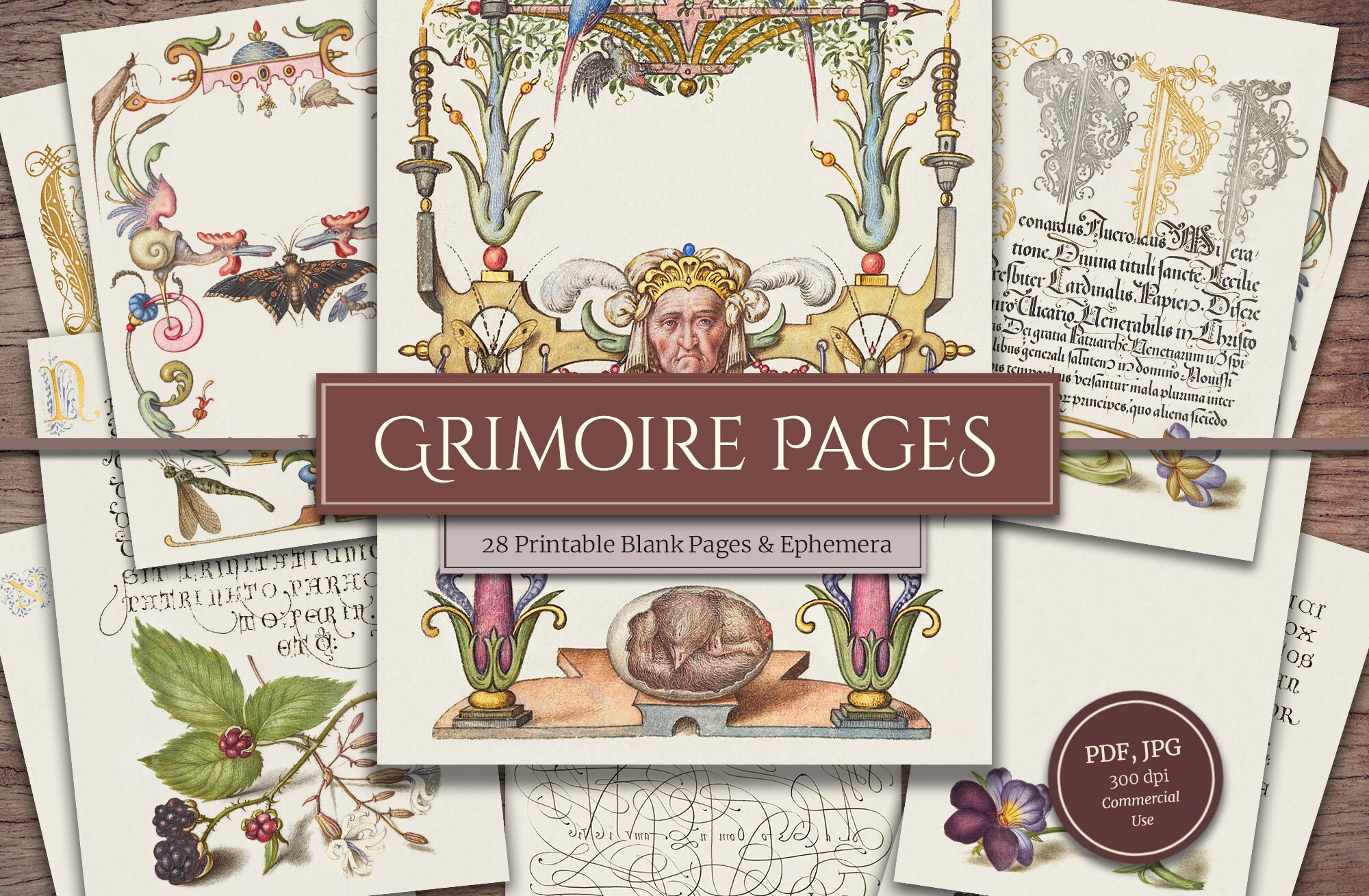 All the Spellbook Pages 160 Illustrated Pages in PDF JPG - Etsy