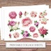 Printable Pink Floral Fussy Cuts JPG Collage Sheets Rose - Etsy