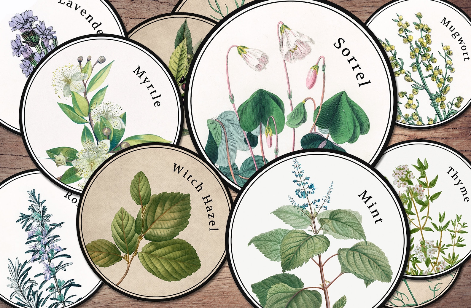Printable Herb Labels (PNG & PDF Sheets), Green Witch Ephemera ...