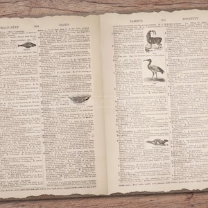 Old Dictionary Pages (printable JPG), Vintage Aged Digital Paper, Word ...