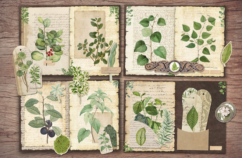 Botanical Junk Journal Kit printable JPG Pages With Ephemera - Etsy