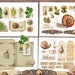 Snail Junk Journal Kit printable JPG Pages With Ephemera, Tags, Fussy ...