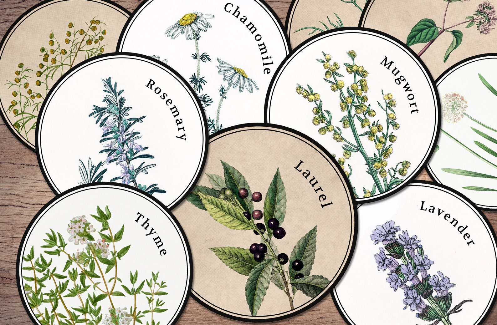 Printable Herb Labels (PNG & PDF Sheets), Green Witch Ephemera ...